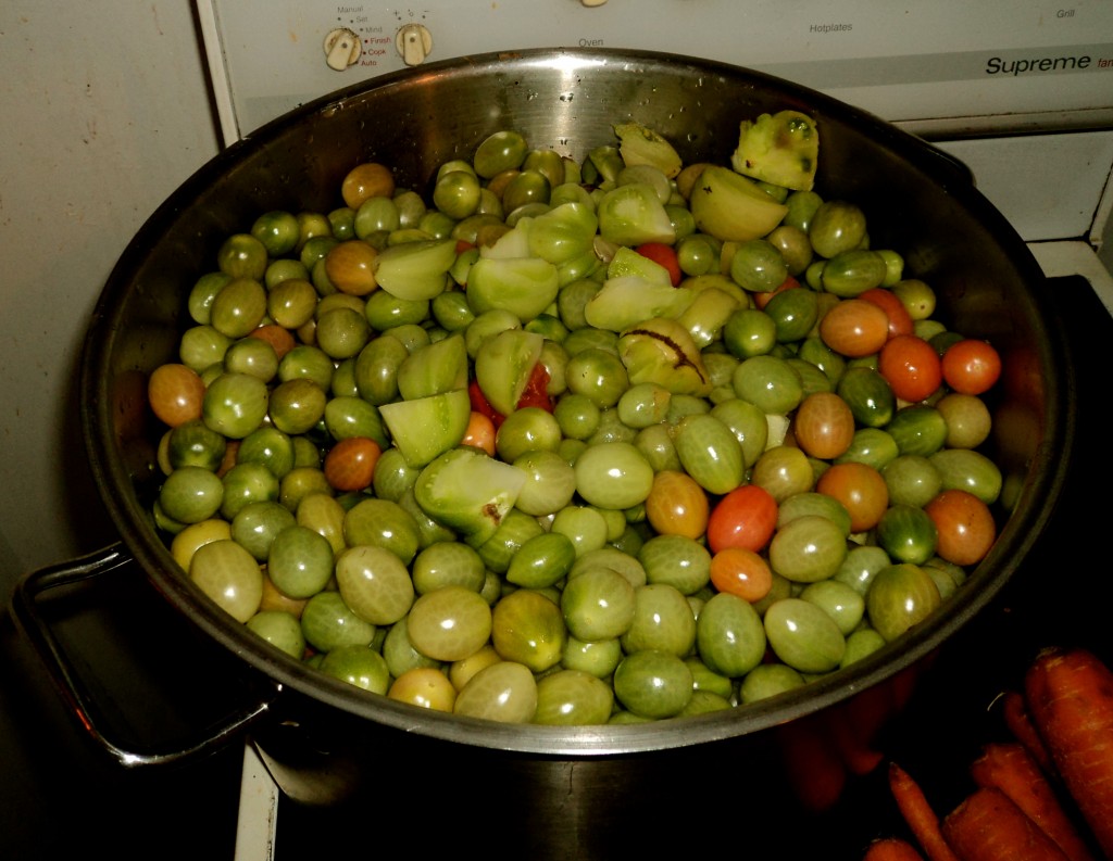 4 Things To Do With Green Tomatoes Good Life Permaculture 4 Things To Do With Green Tomatoes Good Life Permaculture