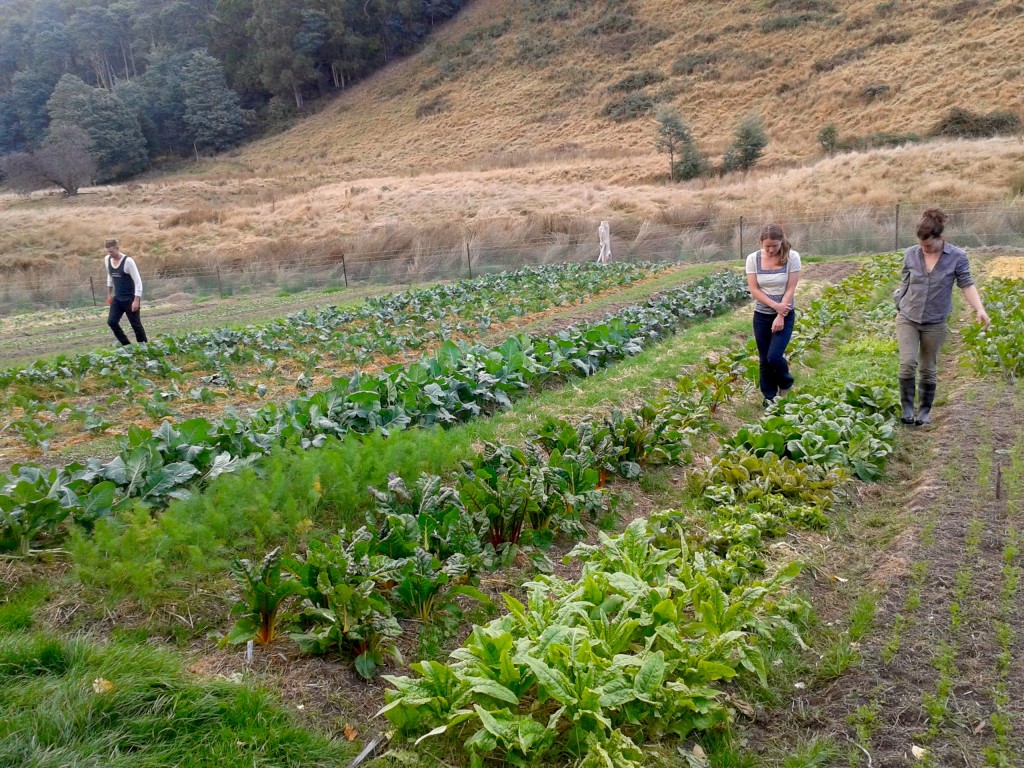 Small Farm, Big Hearts | Good Life Permaculture