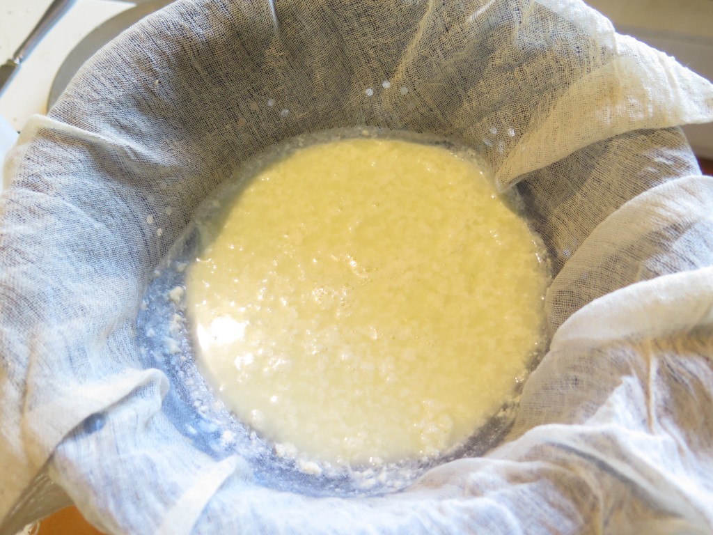 Experiments In Cheese Making | Good Life Permaculture