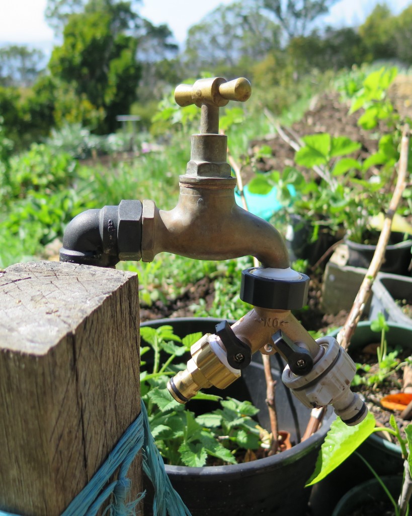 How To Install Dripline Irrigation | Good Life Permaculture