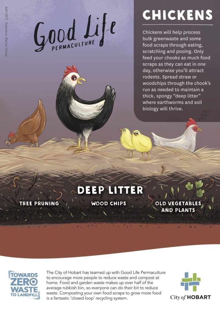 Chicken-Flyer | Good Life Permaculture