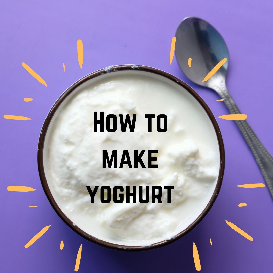How To Make Yoghurt (video) | Good Life Permaculture