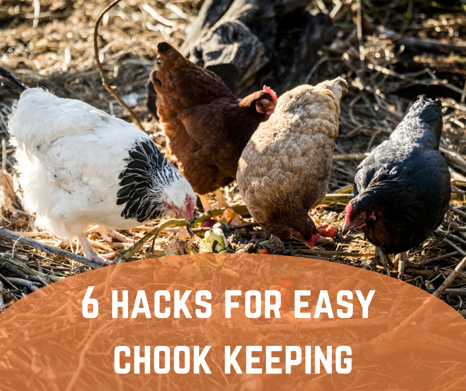 6 Hacks For Easy Chook Keeping | Good Life Permaculture