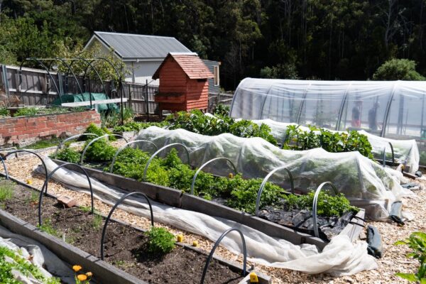Blog | Good Life Permaculture
